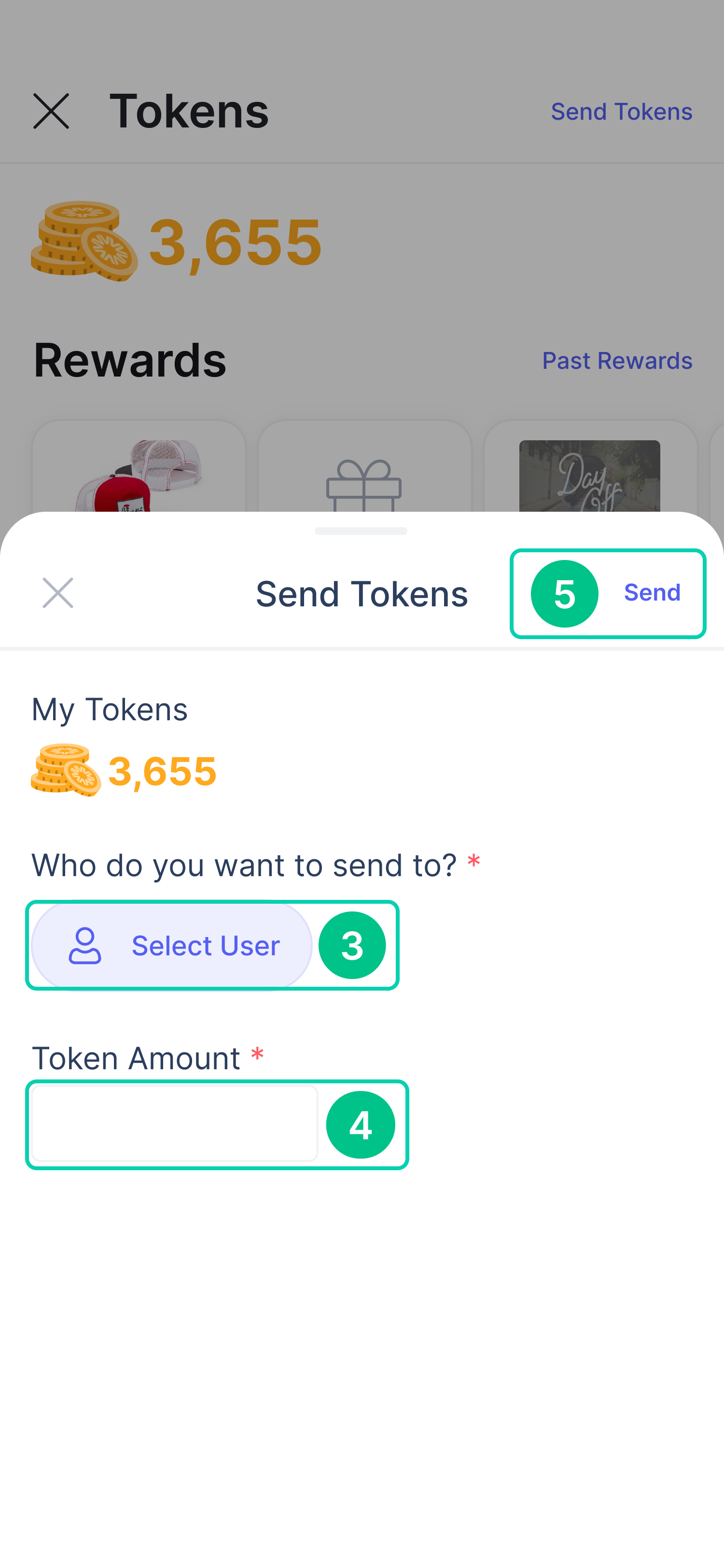 Share Your Tokens with Another User – VSBL
